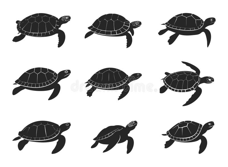 Collection of Silhouettes of Various Sea Turtles Stock Illustration ...