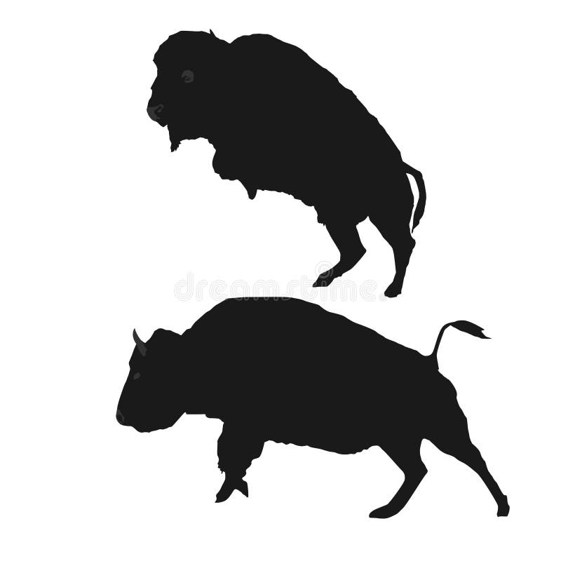 Longhorn Running Stock Illustrations – 57 Longhorn Running Stock ...