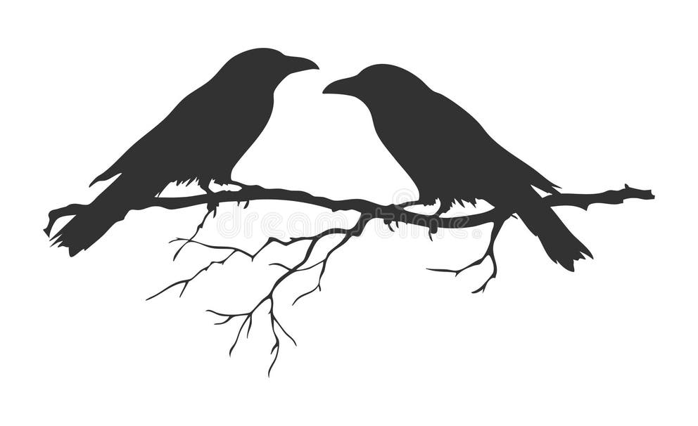 Silhouette of Two Crows Perched on a Bare Branch in Monochrome. Stock ...