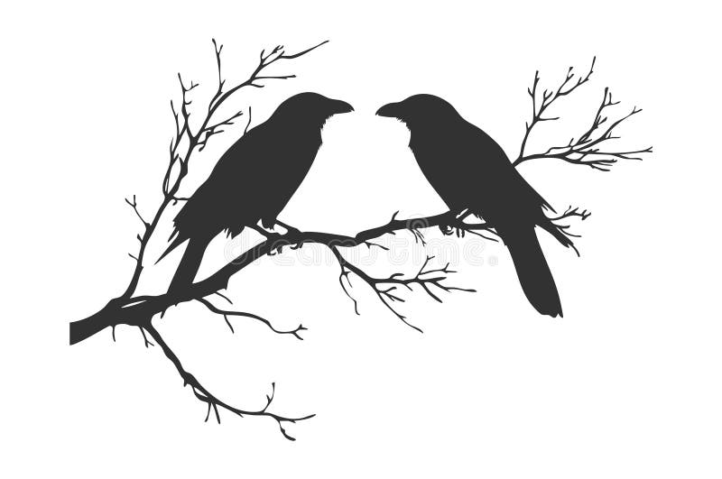 Silhouette of Two Crows Perched on a Bare Tree Branch. Stock Vector ...