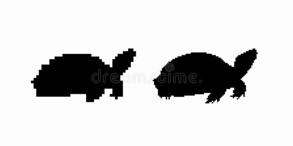 Silhouette of Two Turtles Highlighting Their Distinct Shells and Unique ...