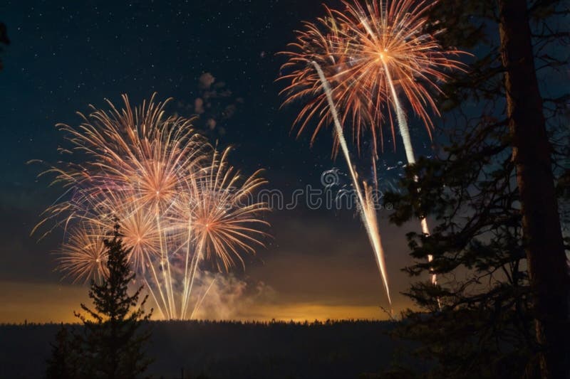 Silhouette View in the Forest that is Setting Off Fireworks Stock Image ...