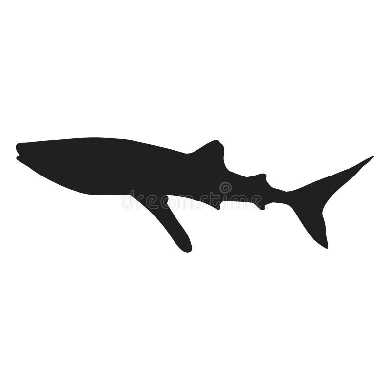 Silhouette Whale Shark stock vector. Illustration of pacific - 362046342