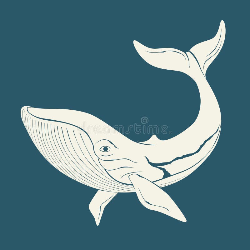 Silhouette of Whale. Template for Labels. Vector Stock Vector ...