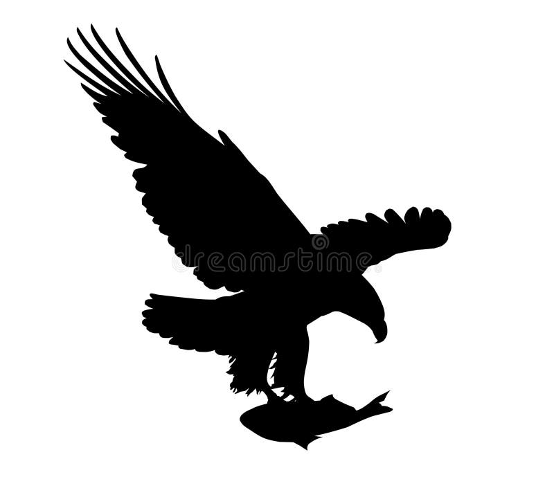 Silhouette of Eagle with Fish. Stock Vector - Illustration of prey ...