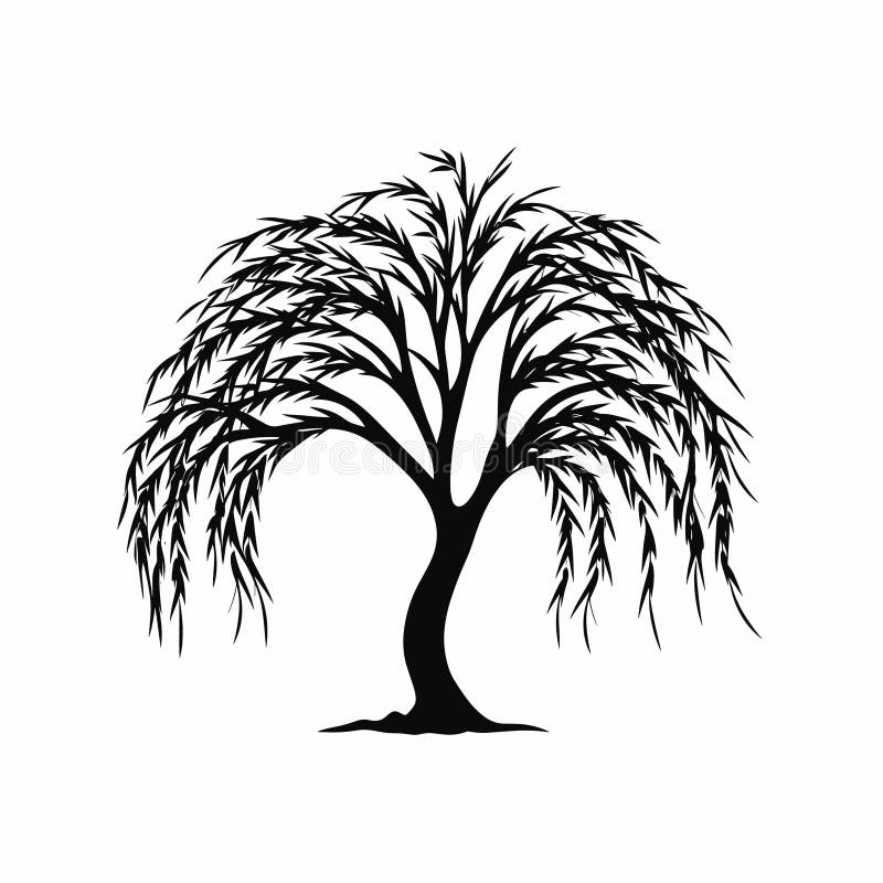 Silhouette of a Willow Tree with Drooping Branches in a Minimalist ...