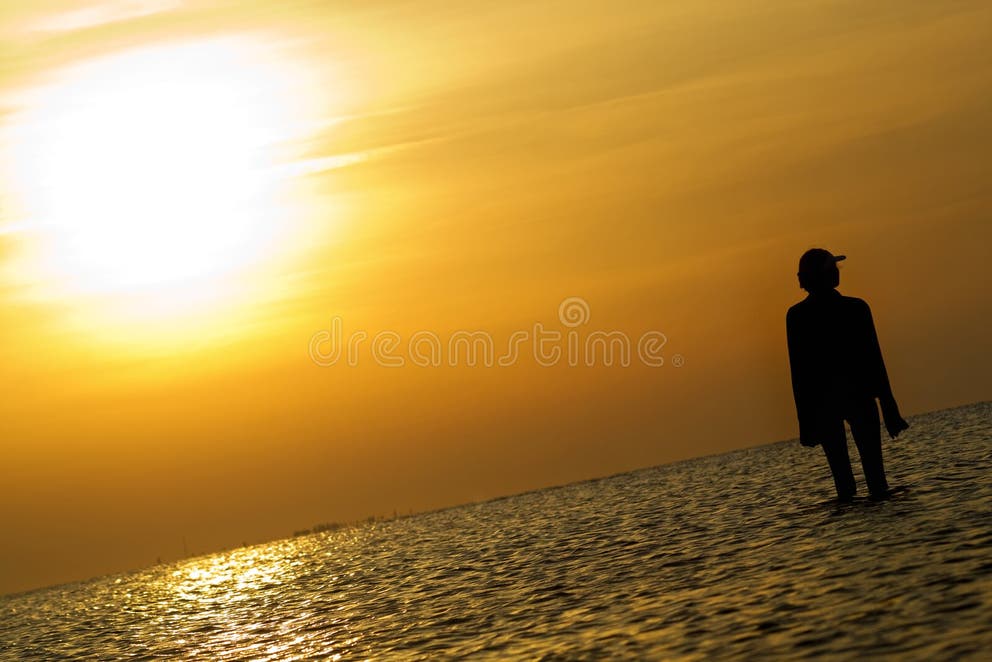 Silhouette of a woman stock image. Image of gold, freedom - 12610599