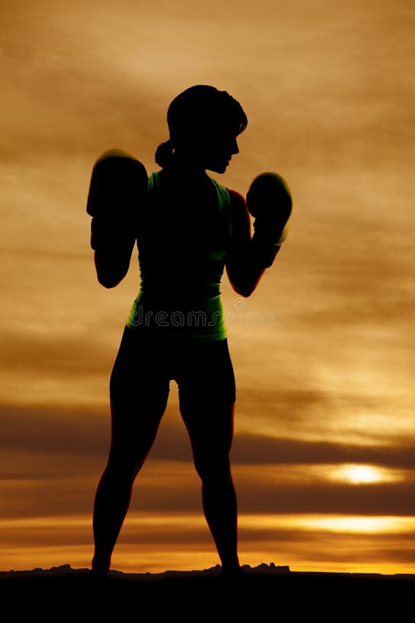 Silhouette Woman Boxing Profile Stock Image - Image of hair, exercise ...