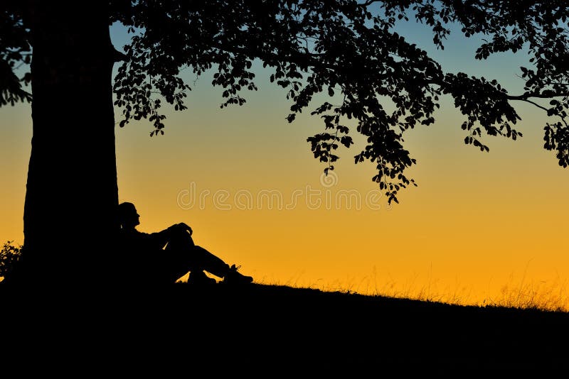 Silhouette of Woman Resting Under a Tree at Sunset Stock Photo - Image ...