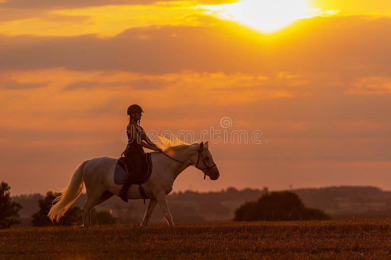 Silhouette of a Woman Riding a Horse at Sunset Stock Image - Image of ...