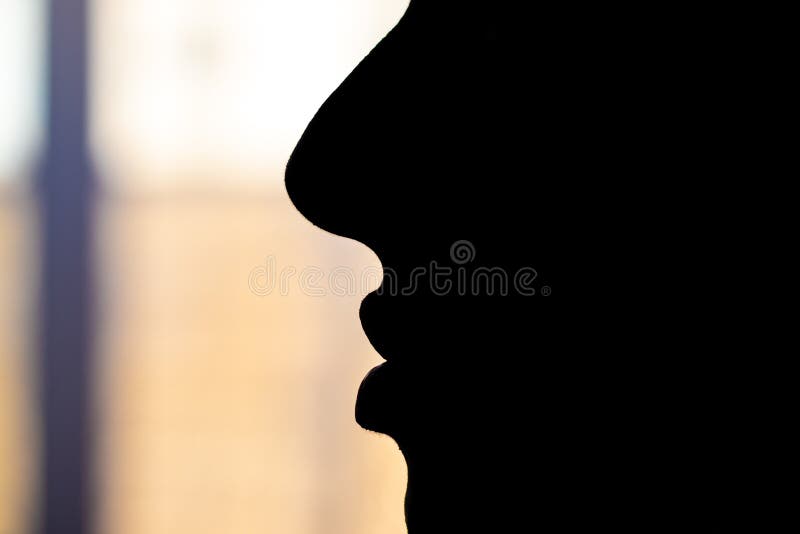 Silhouette of a Woman& X27;s Face in Profile on Blurred Background ...