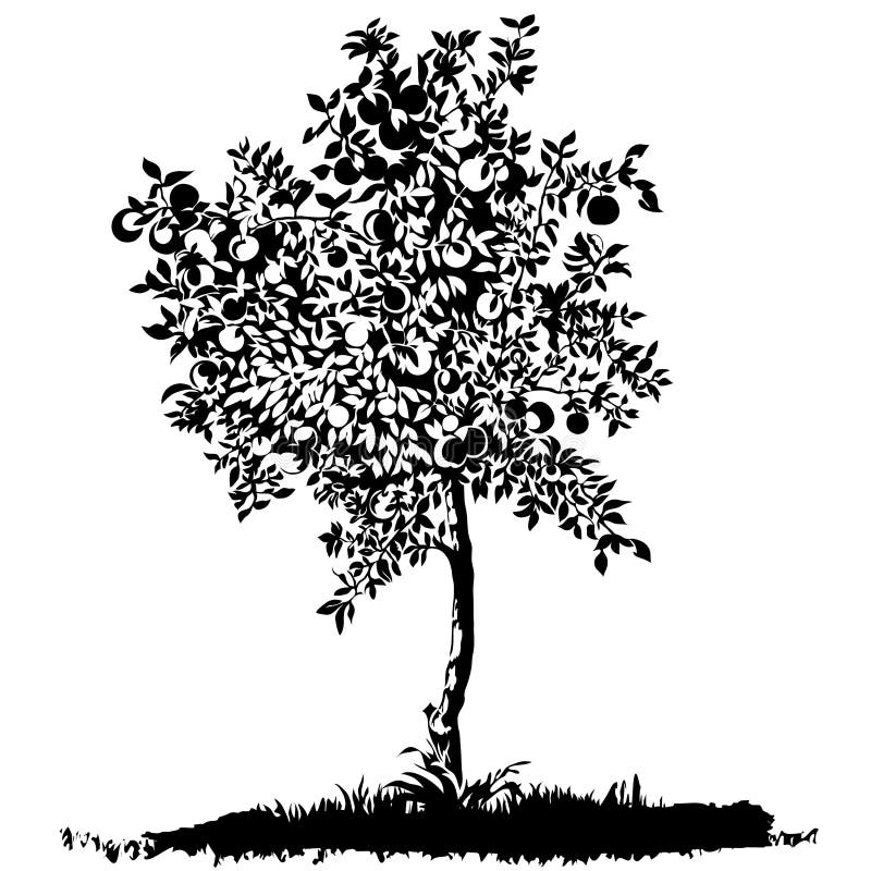 Apple Tree Outline Stock Illustrations – 6,095 Apple Tree Outline Stock ...