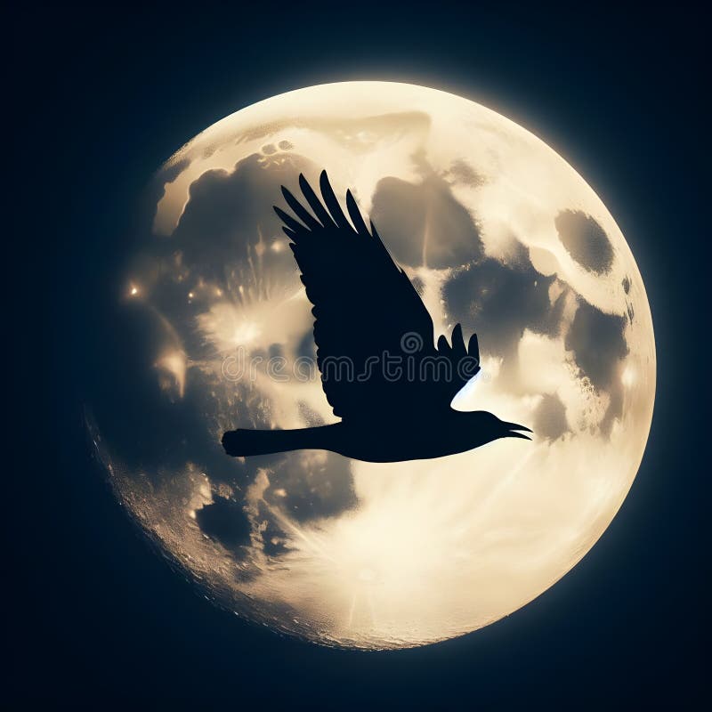 Silhouetted Bird Flying Across the Full Moon. Stock Illustration ...