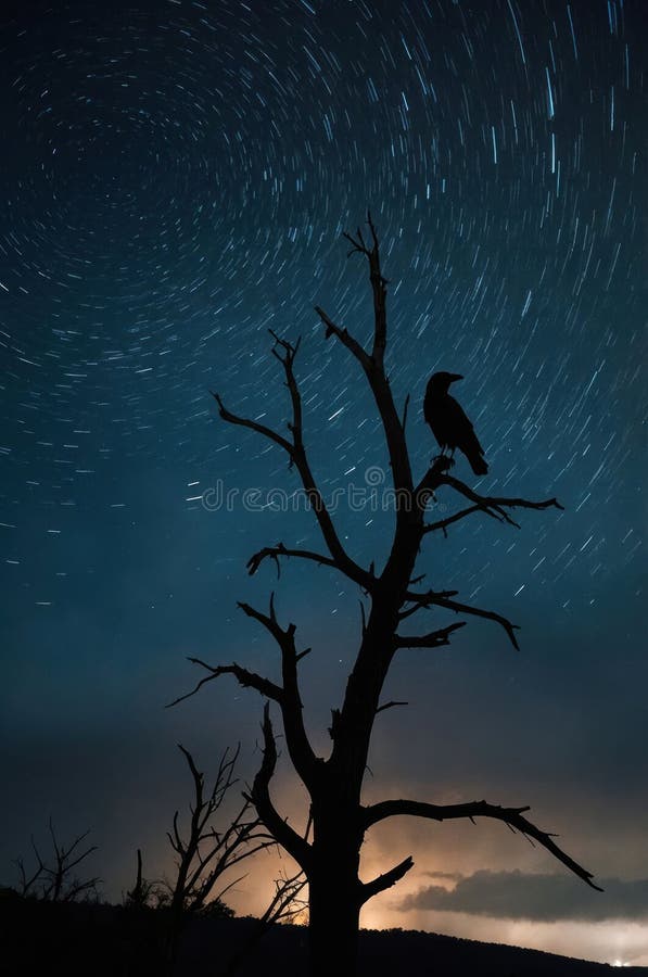 Silhouette of a Raven on a Dead Tree Under a Starry Night Sky Stock ...