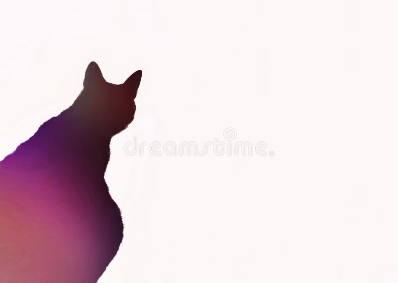 420 Cat Moonlight Stock Photos - Free & Royalty-Free Stock Photos from ...