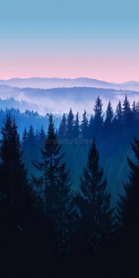 Silhouetted Forest Skyline Against the Glow of Twilight. Stock ...