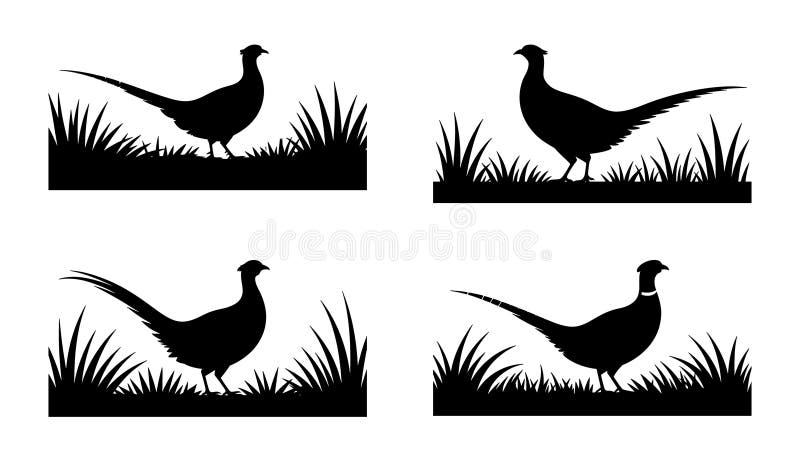 Pheasant Hunting Drawing Stock Photos - Free & Royalty-Free Stock ...