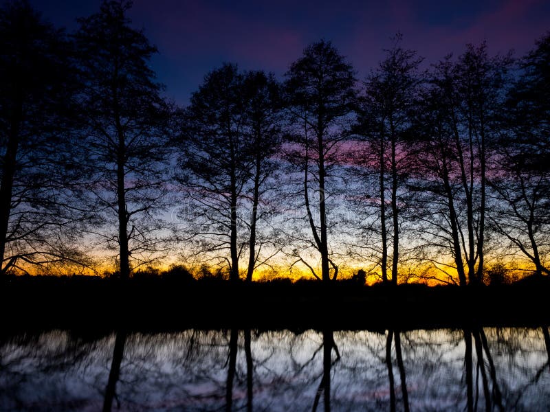 Silhouetted trees Sunset stock photo. Image of river - 84636604