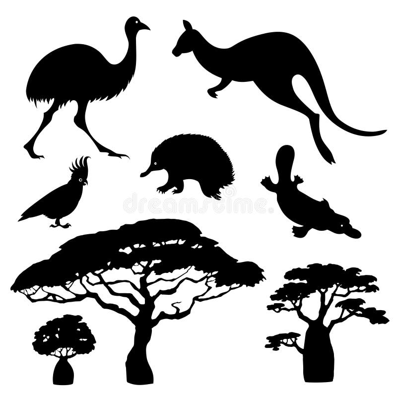 Australian Tree Silhouettes Stock Illustrations – 70 Australian Tree ...