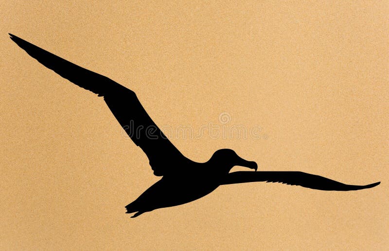Silhouettes of Bird Albatross, Albatross Silhouette Vector Illustration ...