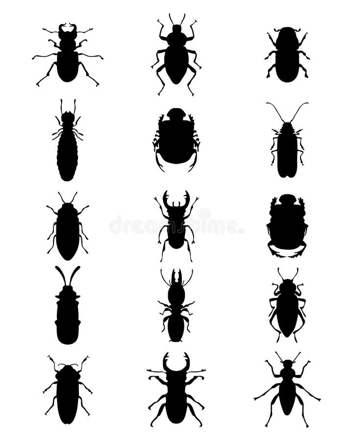 Silhouettes of bugs stock illustration. Illustration of isolated - 66282480
