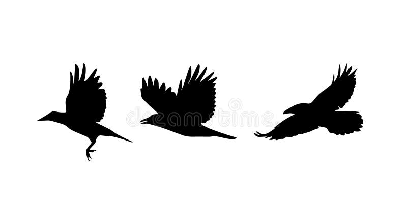 Silhouettes of Crows in Flight. Vector Illustration Stock Vector ...