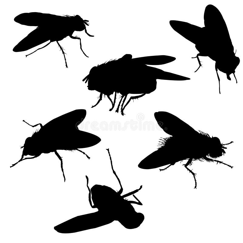 Silhouettes de mouche illustration de vecteur. Illustration du mouche ...