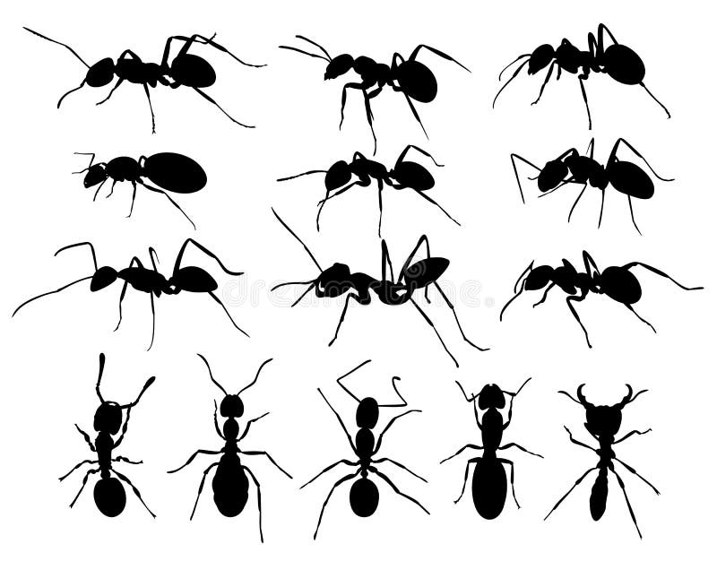 Silhouettes des fourmis illustration de vecteur. Illustration du ...