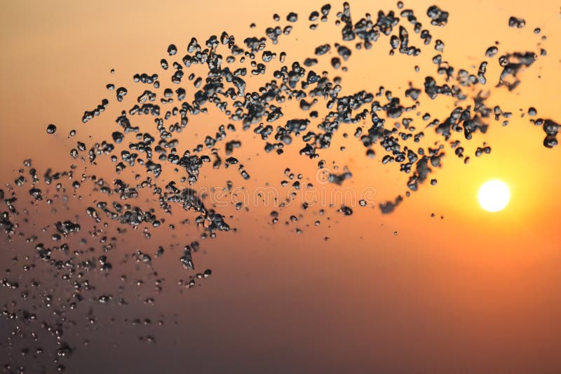 Silhouettes of Drops Falling Water Fountain Against the Backdrop of the ...