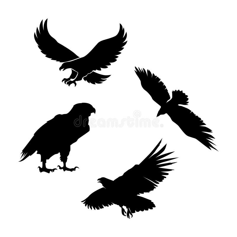 Falconer Silhouette Stock Illustrations – 59 Falconer Silhouette Stock ...