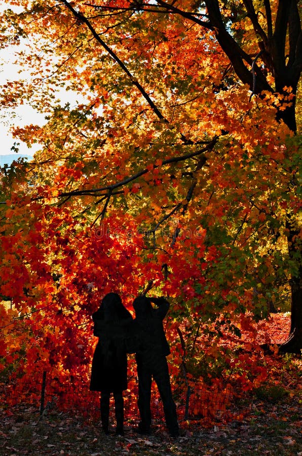 Silhouettes in Fall stock image. Image of abstract, foliage - 26546285