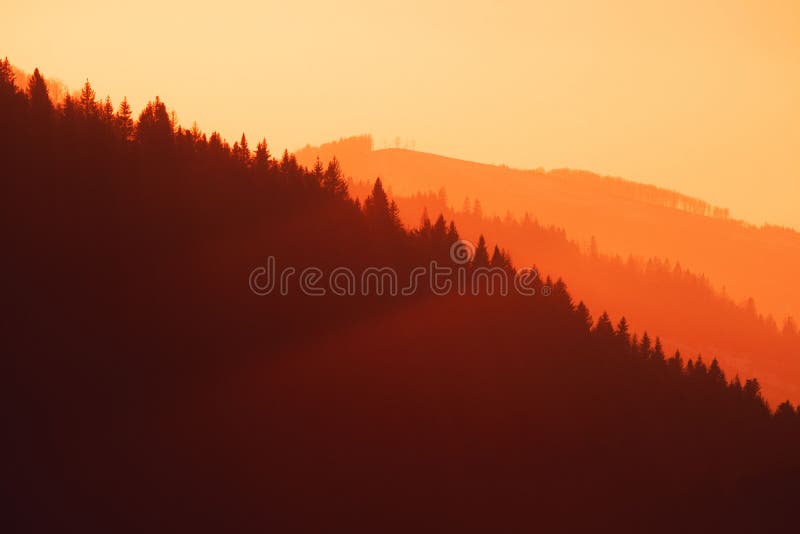 Silhouettes of Forest Mountains in the Golden Hour - Sunset Stock Photo ...
