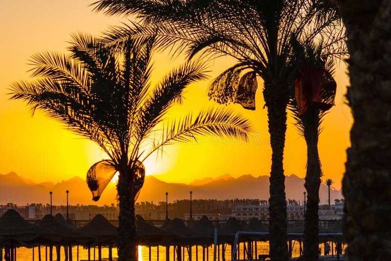 Sunset Palm Springs stock image. Image of outdoors, palm - 16940497