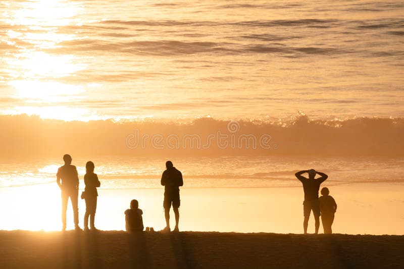 Silhouettes of People at Sunset on a California Beach Editorial ...