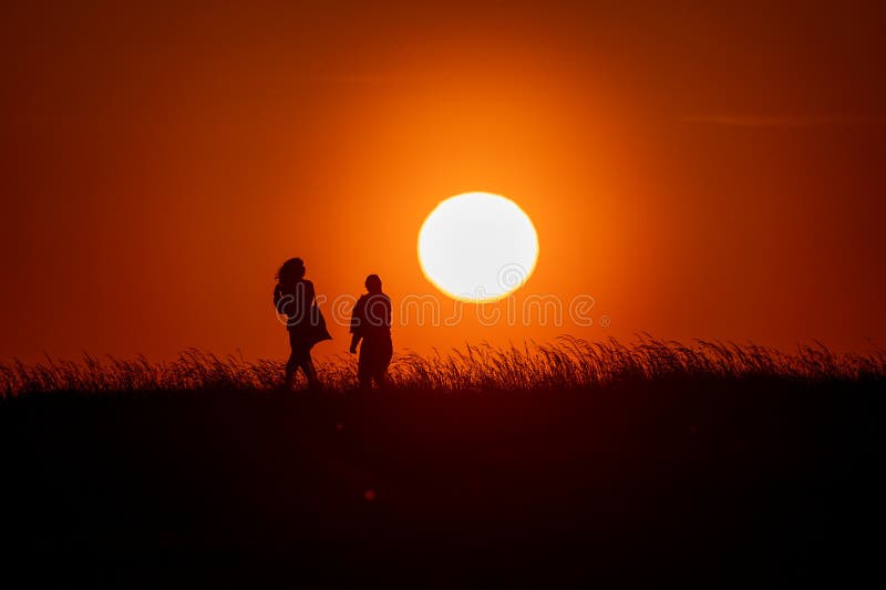 Silhouettes of People Walking on Grass on Sunset with Back Lite and Sun ...