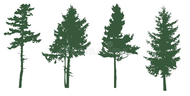 Silhouettes of Pine Trees. an Image of Conifers in Green, Symbolizing ...