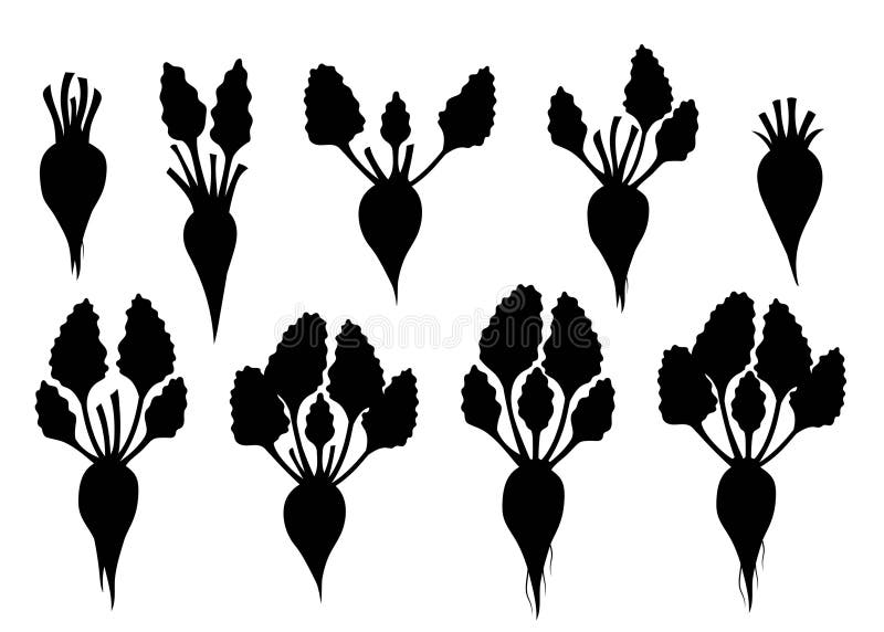 Silhouettes of Root Vegetables. Black and White Roots Isolated on White ...