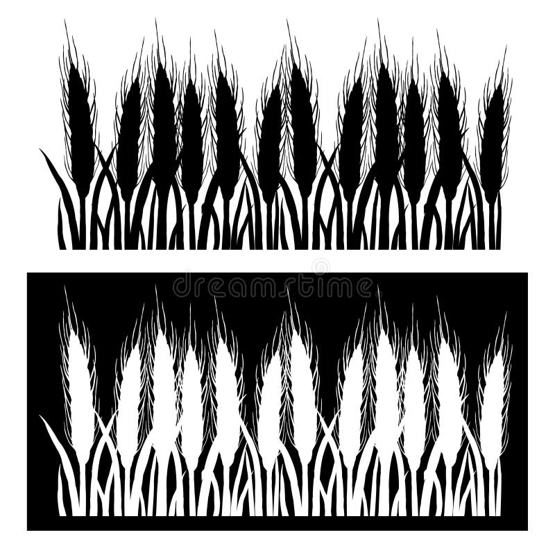 Silhouettes of Rye. Vector Sketch Stock Vector - Illustration of plant ...