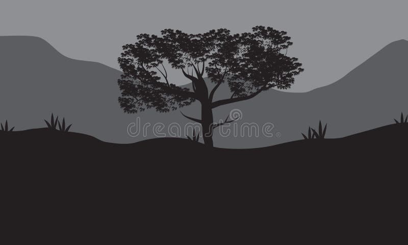 Silhouettes of shade trees stock vector. Illustration of black - 68657193