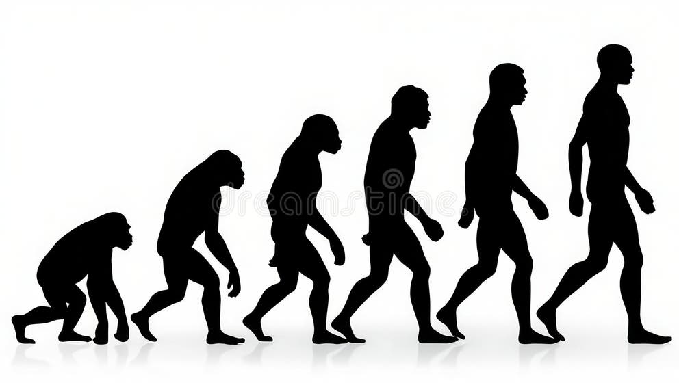 15,122 Human Evolution Stock Photos - Free & Royalty-Free Stock Photos ...