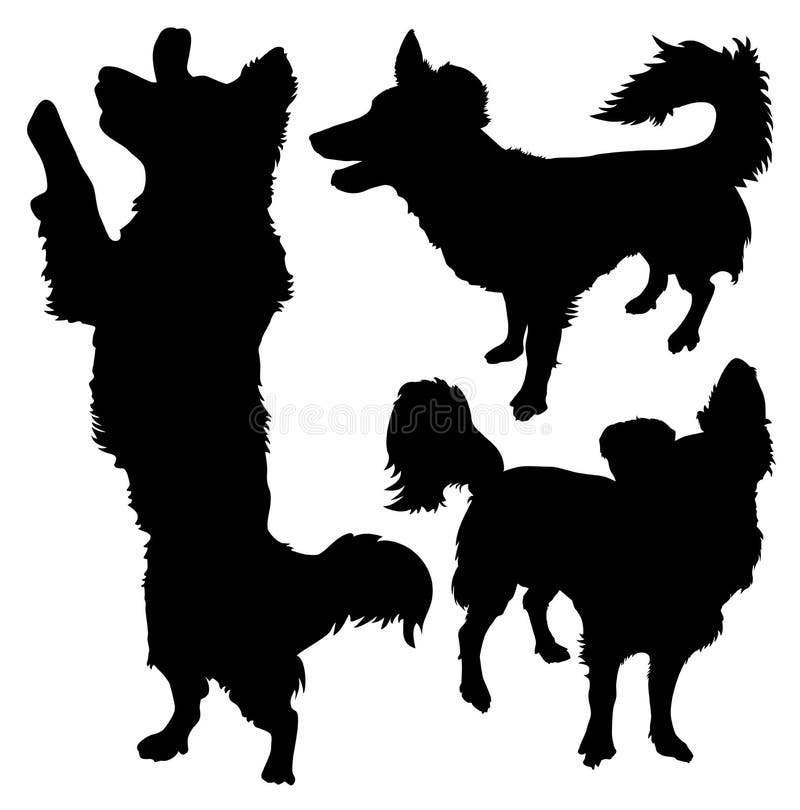 Silhouettes of a Small Dog Vector Stock Vector - Illustration of ...