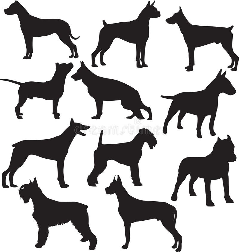 Silhouettes of Standing Working Dogs Stock Vector - Illustration of ...
