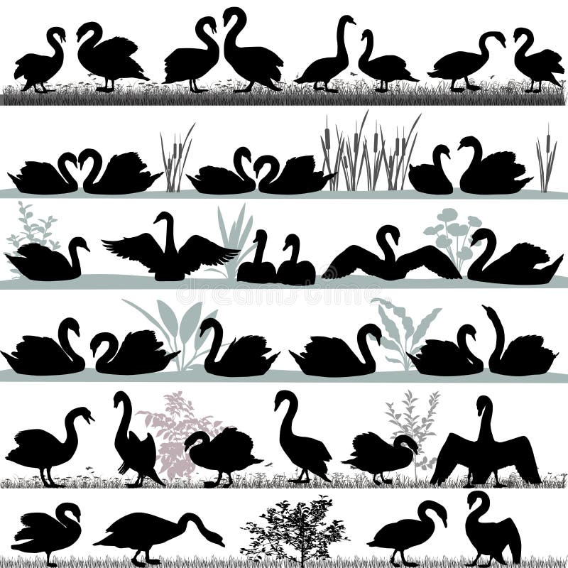 Flock Swans Stock Illustrations – 75 Flock Swans Stock Illustrations ...