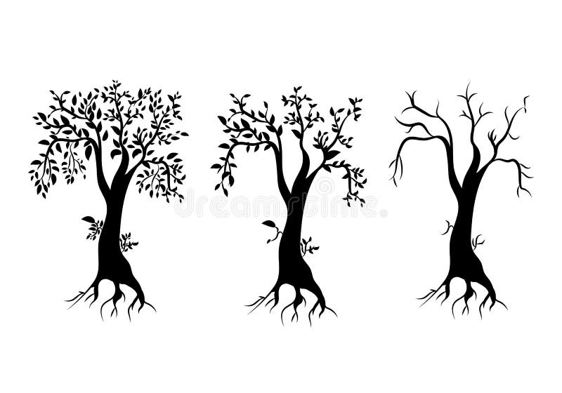Silhouettes of Three Trees on a White Background. Stock Vector ...