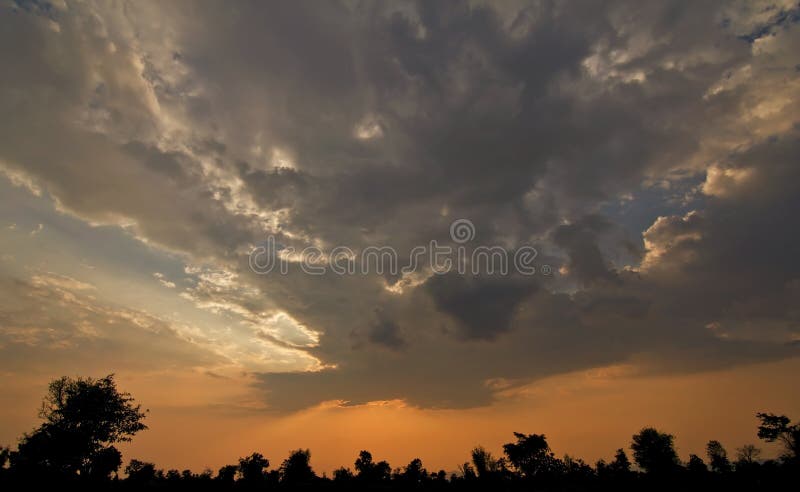 Silhouettes of Tree with Sun and Clouds. Stock Photo - Image of evening ...