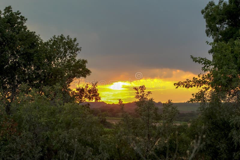 Silhouettes of Trees Against the Backdrop of a Golden September Sunset ...