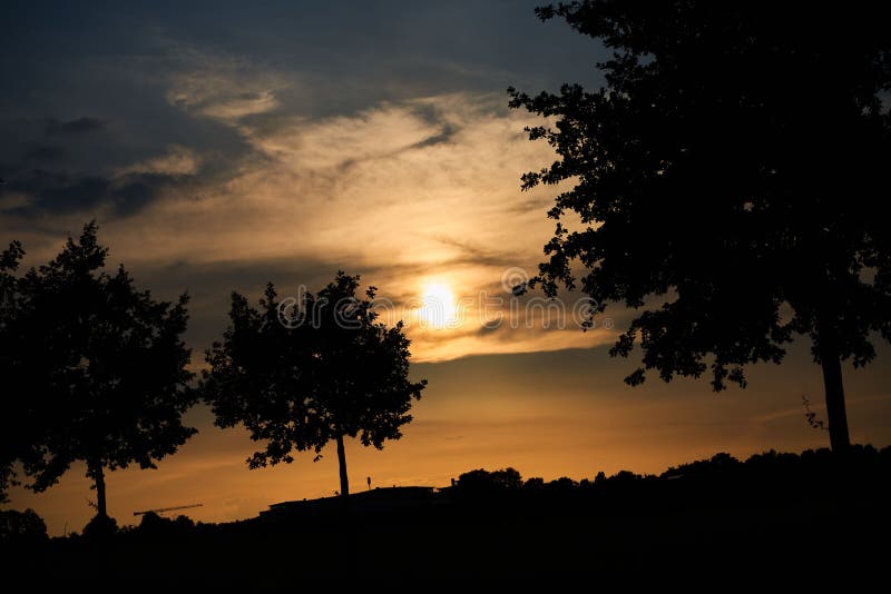 Silhouettes of Trees Against the Sunset Stock Image - Image of sunset ...