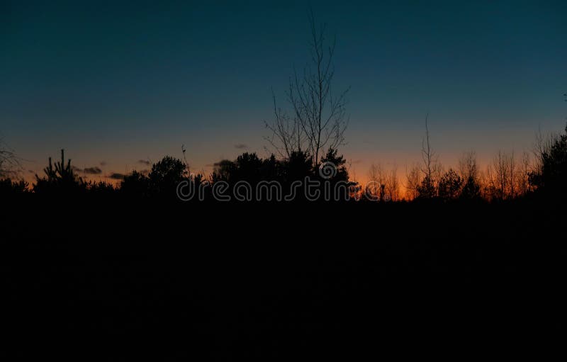 Silhouettes of Trees at Dusk, Background Stock Image - Image of morning ...