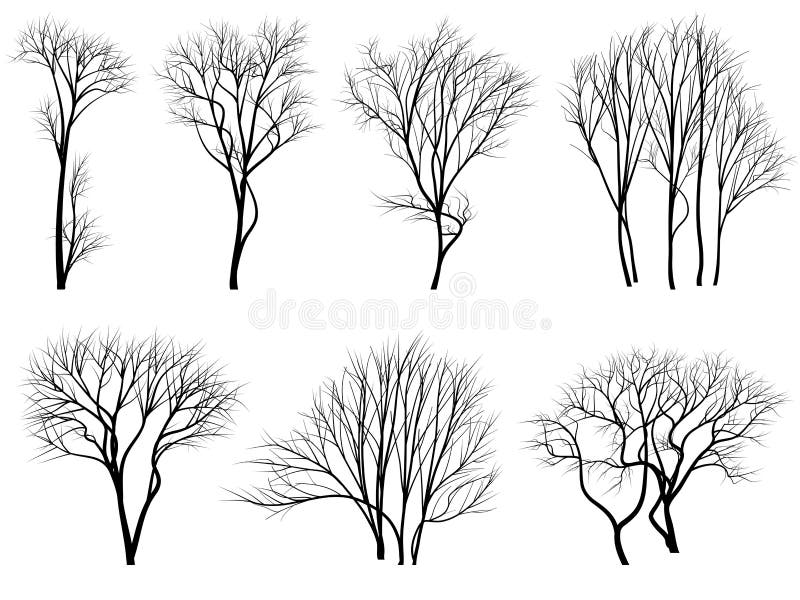Silhouettes of Birch Trees without Leaves. Stock Vector - Illustration ...