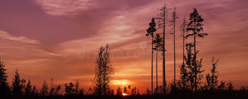 Sun Setting on the Marsh stock photo. Image of idyllic - 92853380